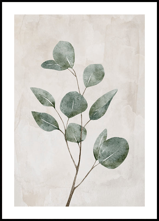 Watercolor Eucalyptus Poster | Posterbox